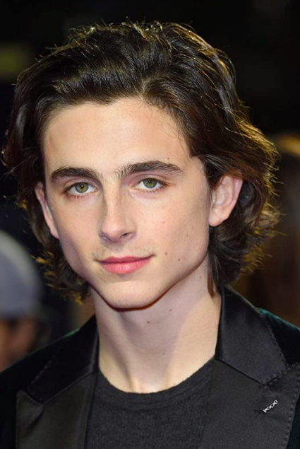 timothy shalloway Net Worth, Age, Height, Weight, Family, Bio/Wiki
